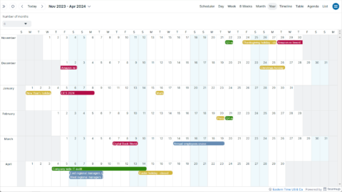 Yearly Planner / Calendar Template - Teamup.com