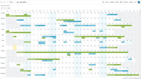 Yearly Planner / Calendar Template - Teamup.com