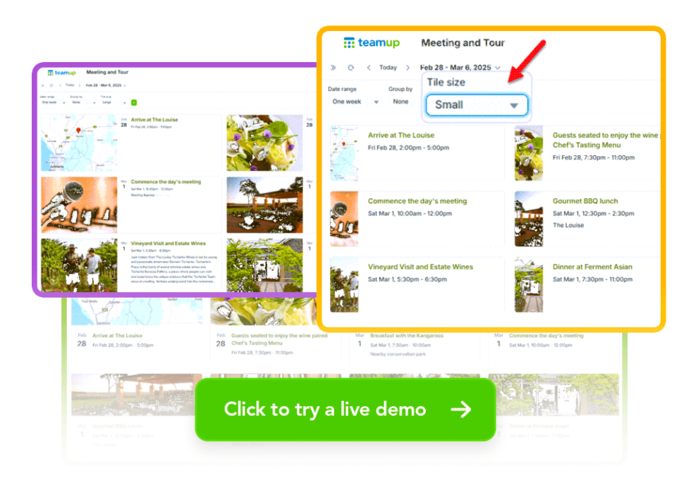 Display Events as Visual Tiles in Small, Medium, Large - Teamup.com